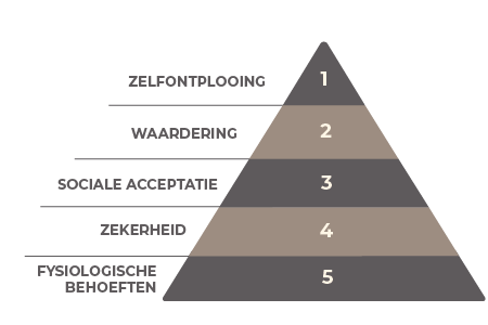 Piramide van Maslow | Vividz